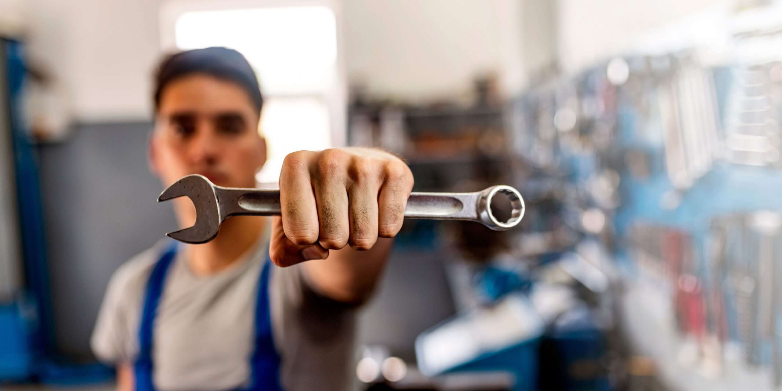 Technical Assistance Services - Efaflu