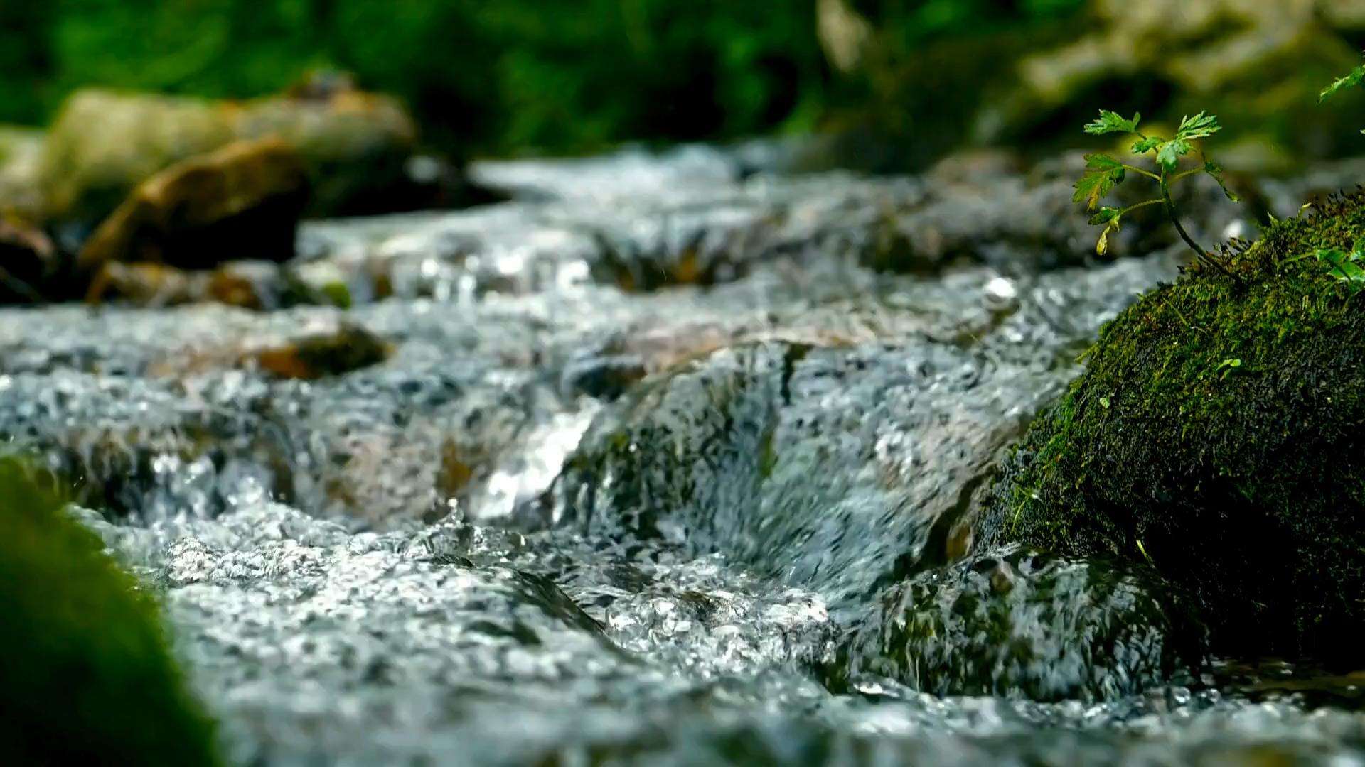 Efaflu - Bombas, Ventiladores e Geradores